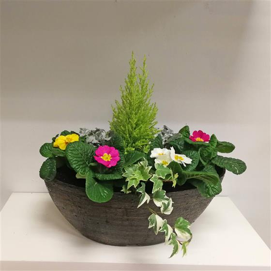 Planted Oval Container Norah Mitchell Flowers Belfast Florist Floris